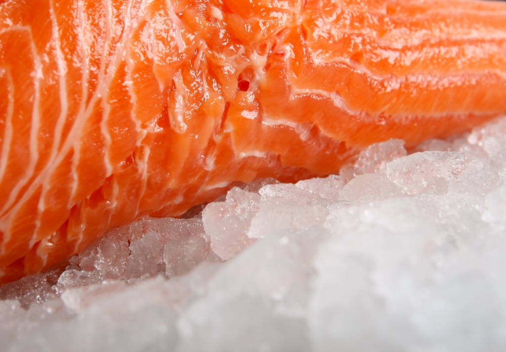 Lososovo olje za psa in omega-3 maščobne kisline